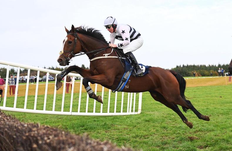 Newsletters - Insider Edge